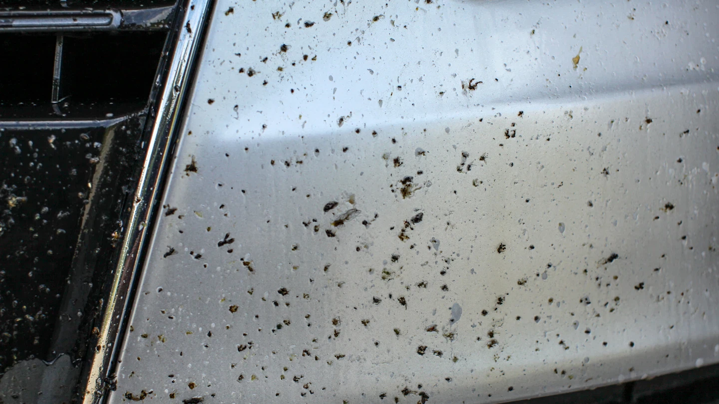 How to Deal with Tar Splatter on Your Car - Knowledge